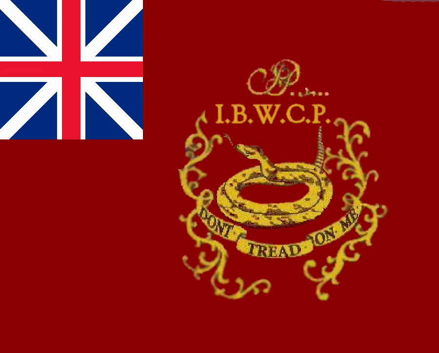 Flags25